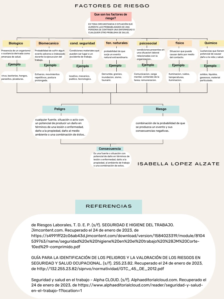 Mapa Conceptual Factores de Riesgo | PDF | Medicina CLINICA | La seguridad