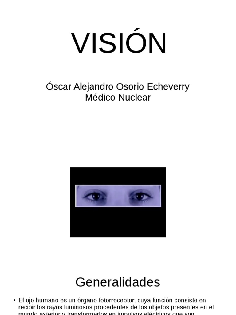 7 Vision | PDF | Ojo humano | Percepción visual