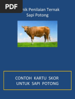7 Jenis Sapi Di Indonesia Beserta Gambar | PDF