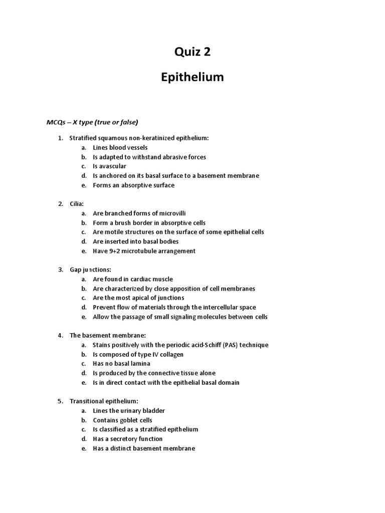 Quiz 2 - Epithelium | PDF | Epithelium | Microscopy
