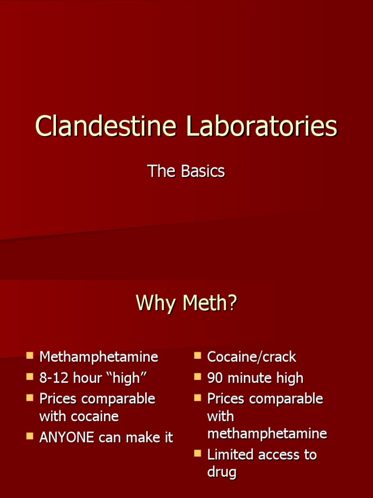 Types and Hazards of Clandestine Labs | PDF | Physical Sciences ...