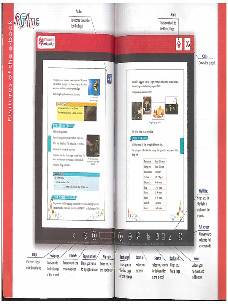 English Section 1 1 50 | PDF
