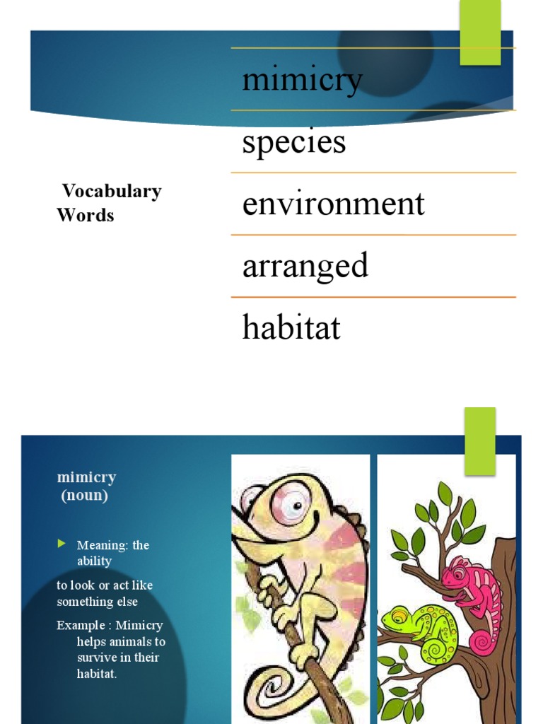 Habitat Vocabulary Explained | PDF | Foreign Language Studies | Science ...