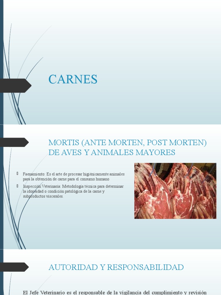 Carnes y Cortes Principales | PDF | Carne | Carne de vaca