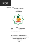 Laporan Biologi (Plasmolisis & Krenasi) | PDF