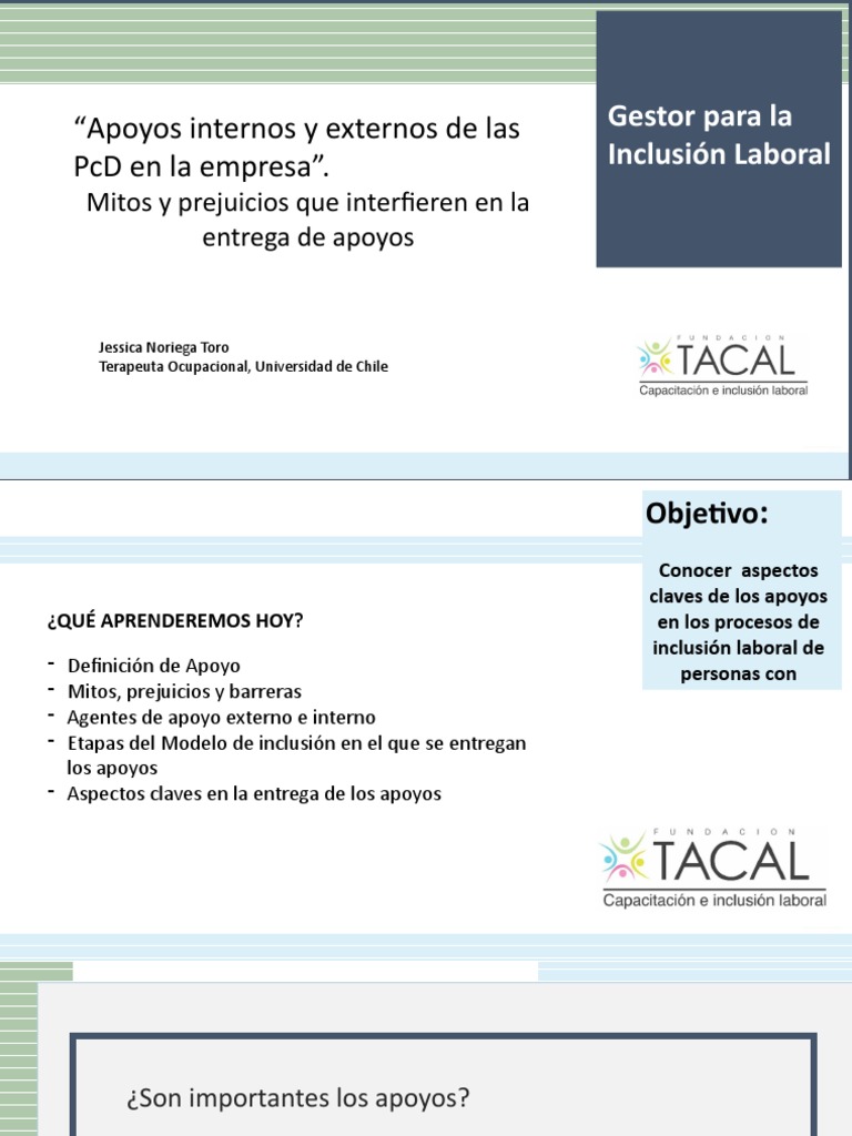 Apoyos internos y externos clave para la inclusión laboral de personas con discapacidad | PDF ...