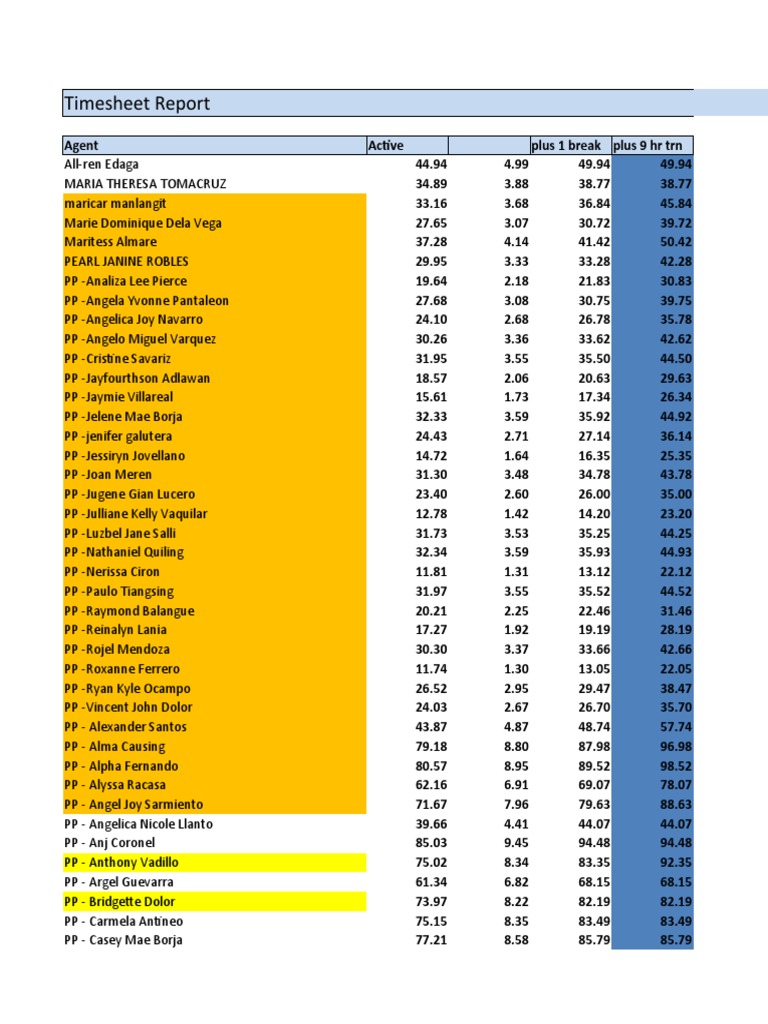 Timesheet Summary for Agents | PDF