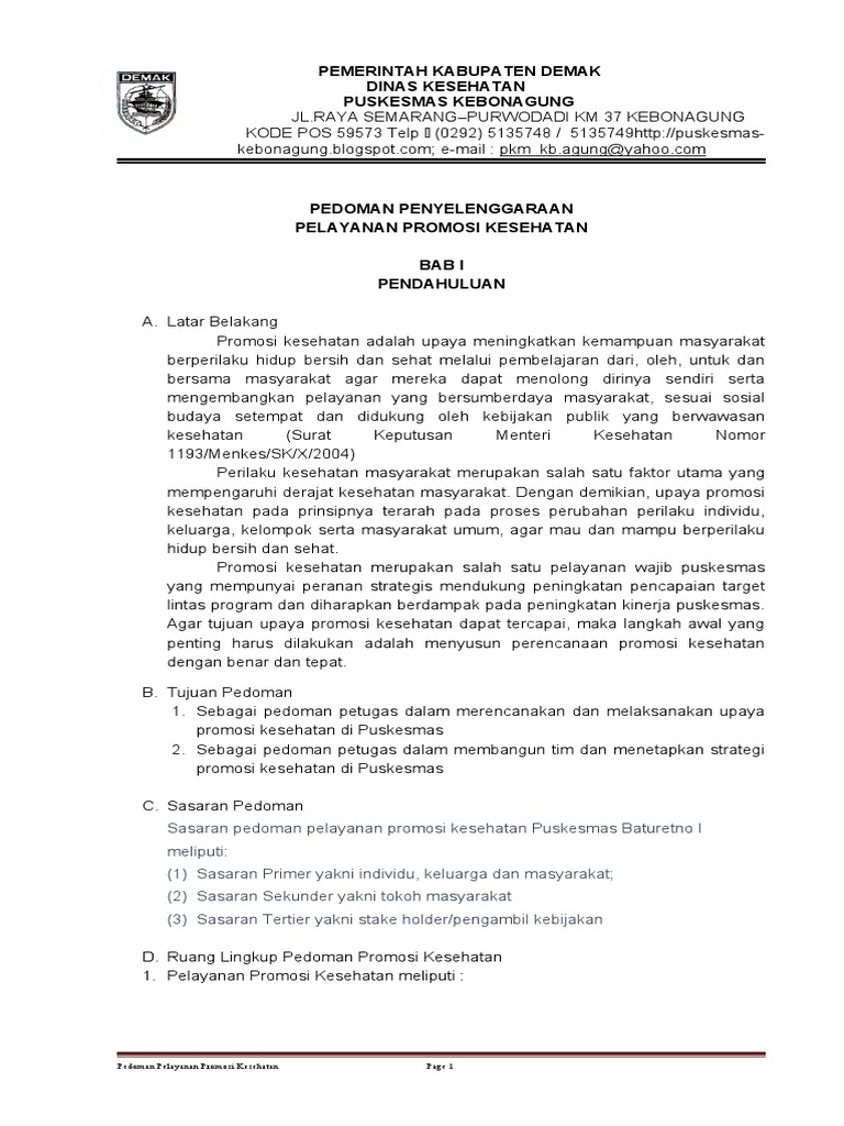 PEDOMAN PROMOSI KESEHATAN DI PUSKESMAS | PDF