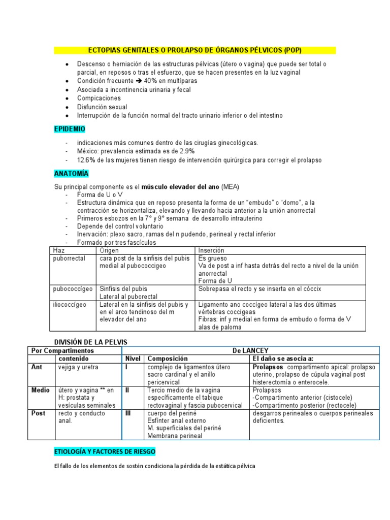 Ectopias Genitales O Prolapso de Órganos Pélvicos (Pop) : Etiología Y ...