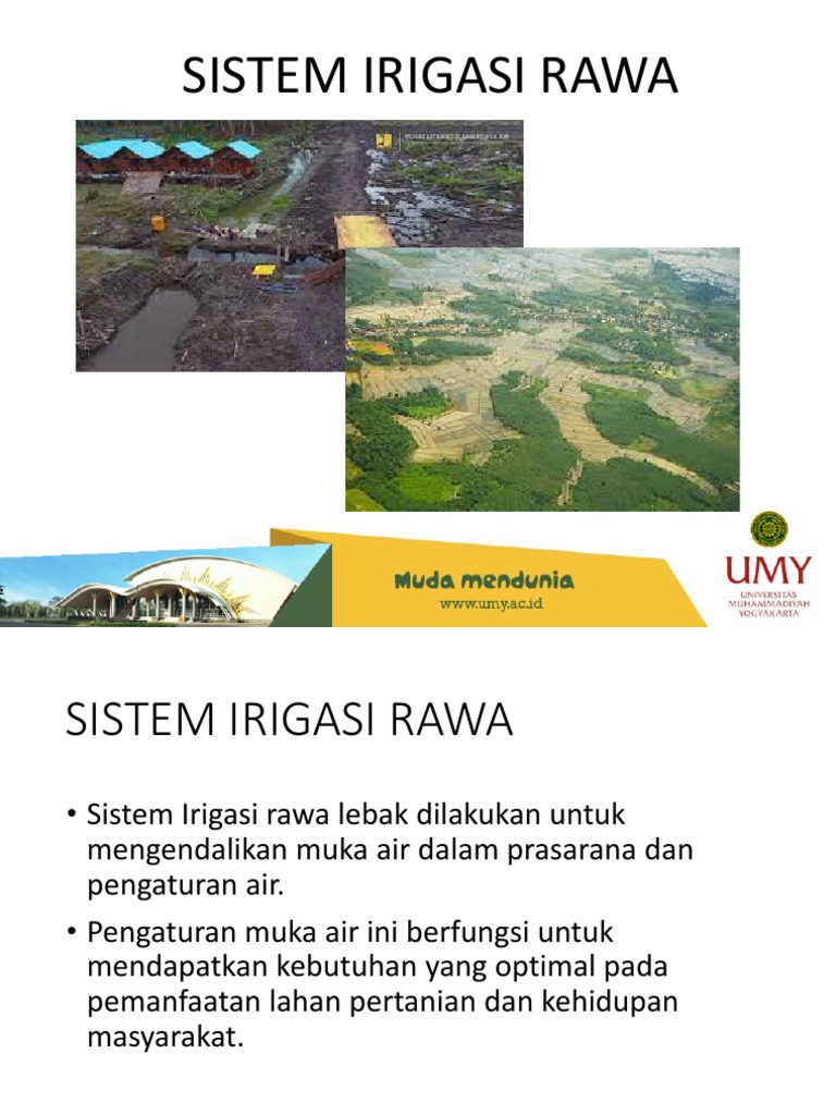 Sistem Irigasi Rawa | PDF