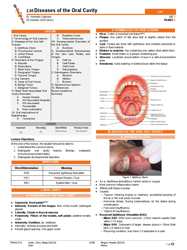 (ENT) 2.05 Diseases of The Oral Cavity - DR - Calavera | PDF | Herpes ...