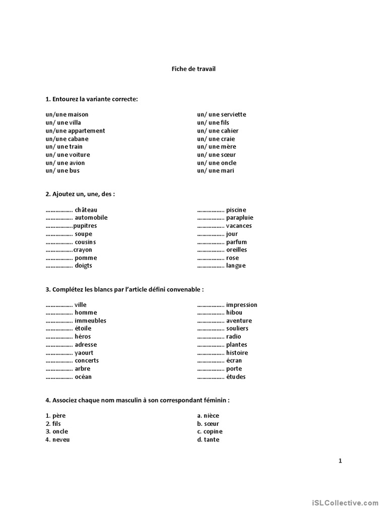 Exercices de Grammaire Française: Articles, Pluriels et Adjectifs | PDF ...