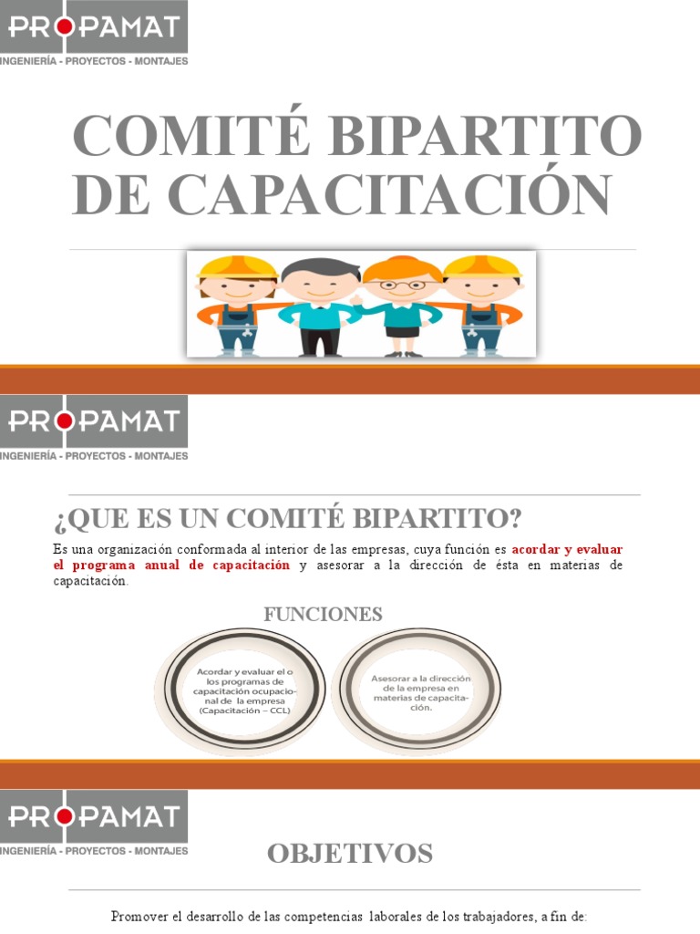 Comité Bipartito de Capacitaciòn | PDF | Sindicato | Gobierno