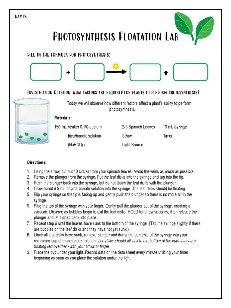 Photosynthesis Floatation Lab | PDF | Leaf | Syringe