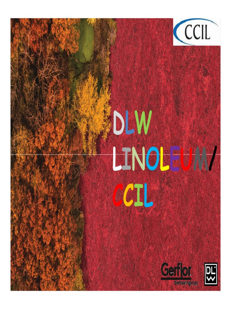DLW Linoleum Stocking Presentation | PDF | Life Cycle Assessment ...