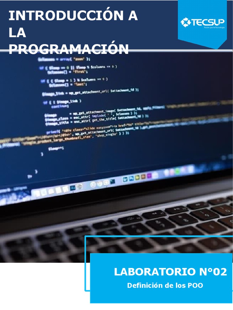 Python: Crear y Depurar Programas | PDF