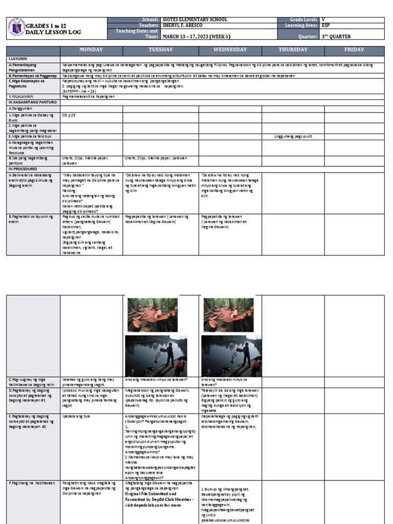 DLL - Esp 5 - Q3 - W5 | PDF