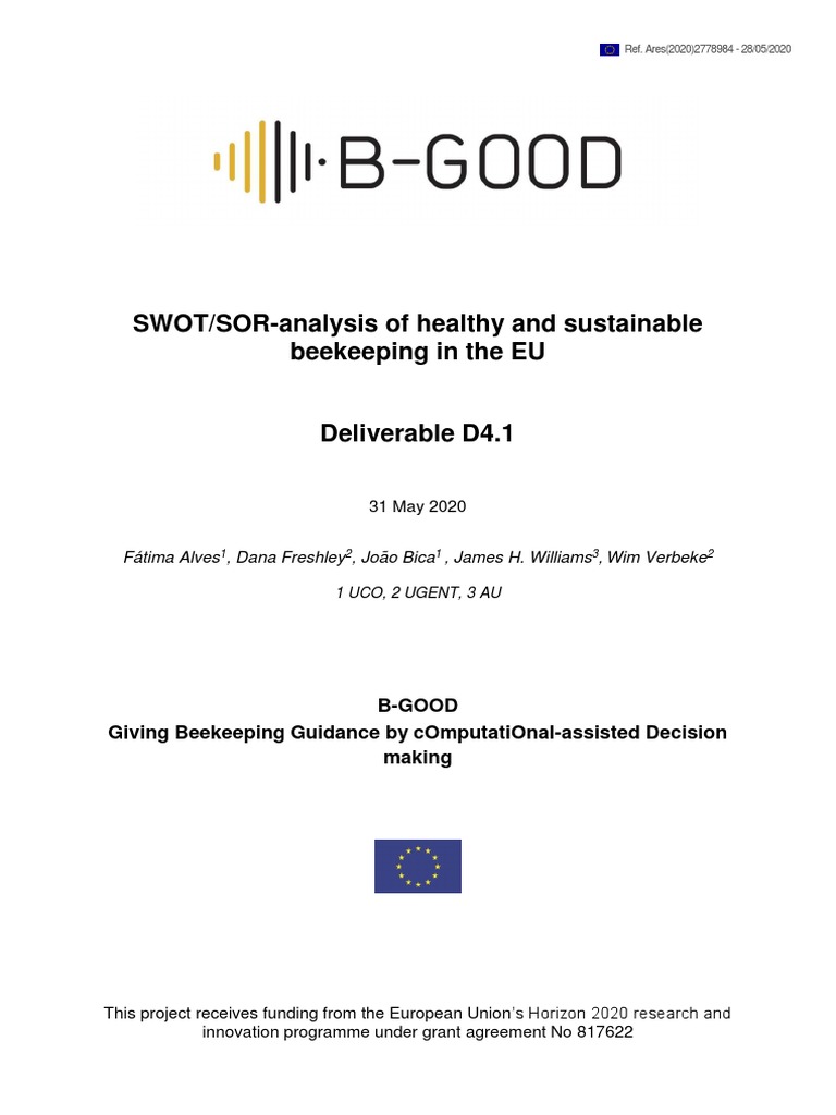 D4.1 Swot - Sor | PDF | Swot Analysis | European Union