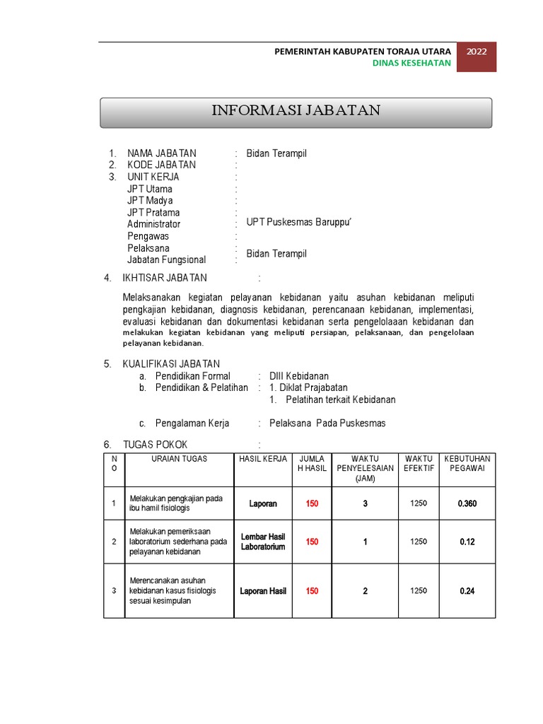 Anjab Bidan Terampil | PDF