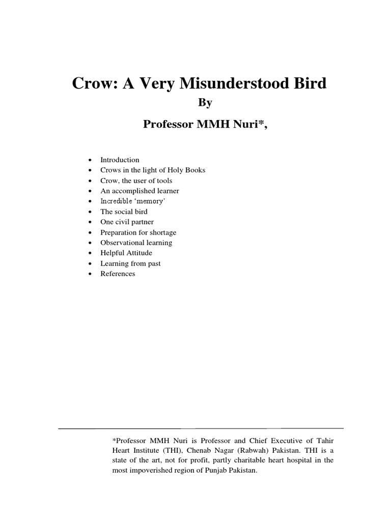 Attributes of A Crow | PDF | Tools | Birds