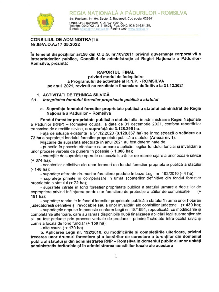 RNP Raport Final 2021 | PDF