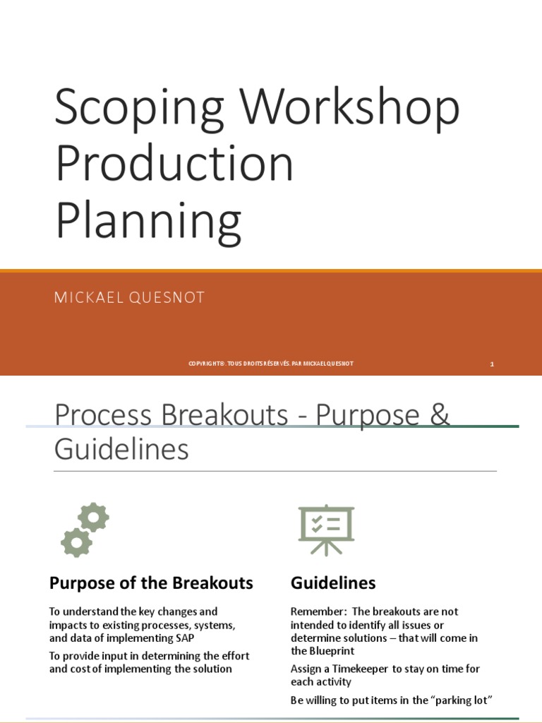 Scoping Workshop SAP PP | PDF | Supply Chain Management | Data Quality