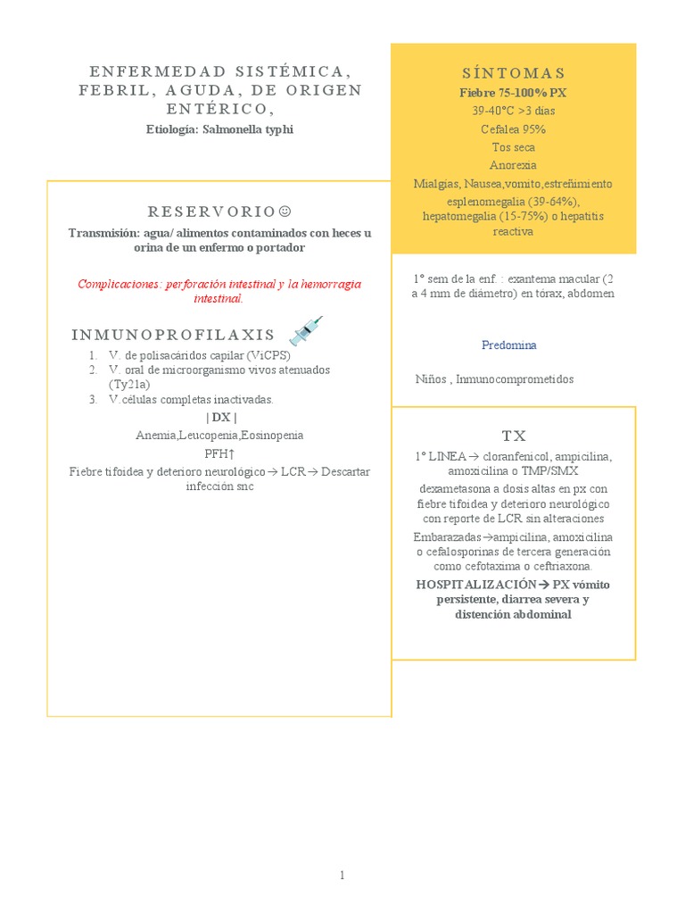 Síntomas y tratamiento de fiebre tifoidea | PDF | Salmonela ...