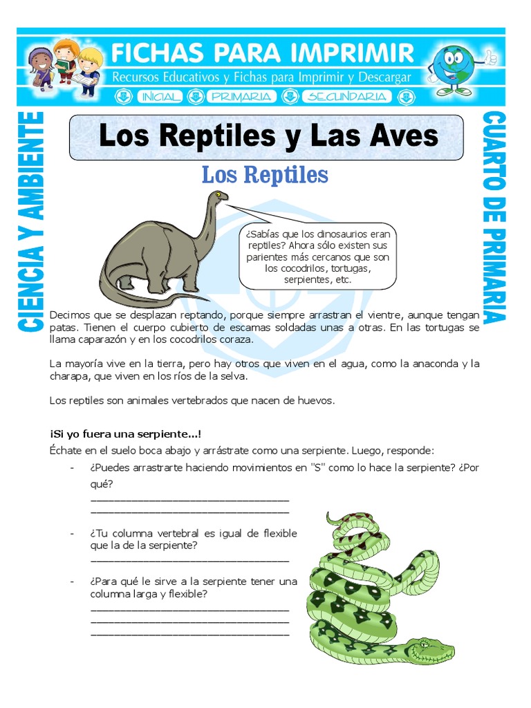 Ficha Los Reptiles y Las Aves para Cuarto de Primaria | PDF | Serpiente | Reptil