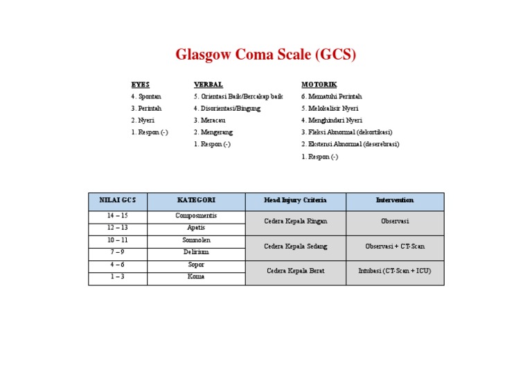 Glasgow Coma Scale | PDF