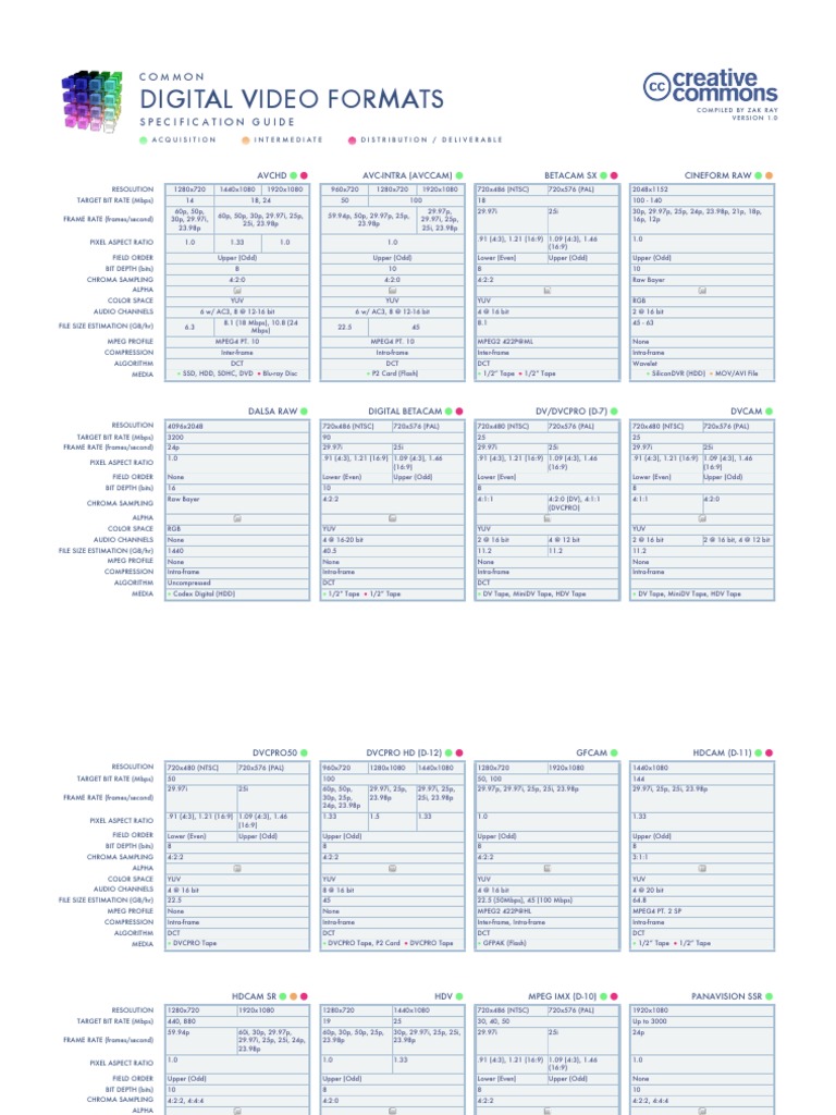 Digital Video Formats (8.5x11) | PDF