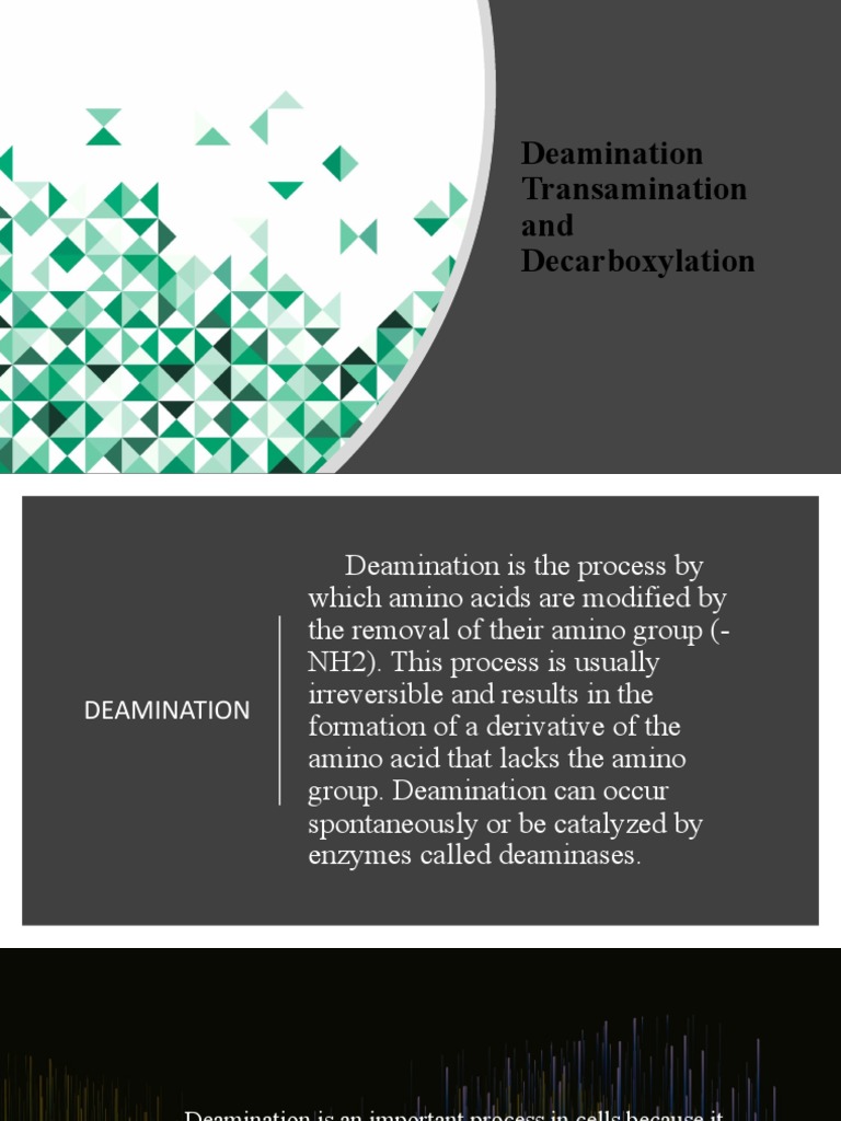2 Deamination Transamination and Decarboxylation | PDF | Amino Acid ...