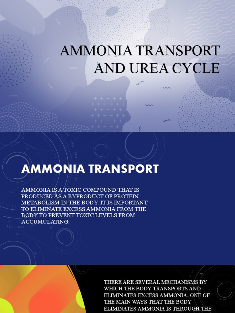 Ammonia Transport and Urea Cycle | PDF | Urea | Ammonia