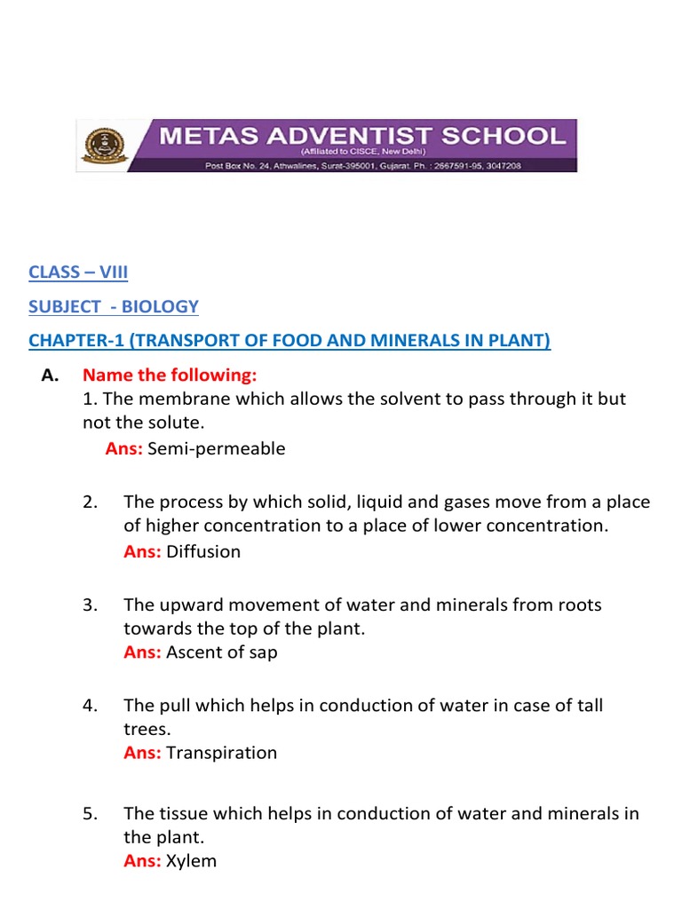 Class 8 Biology: Plant Transport | PDF | Tissue (Biology) | Osmosis