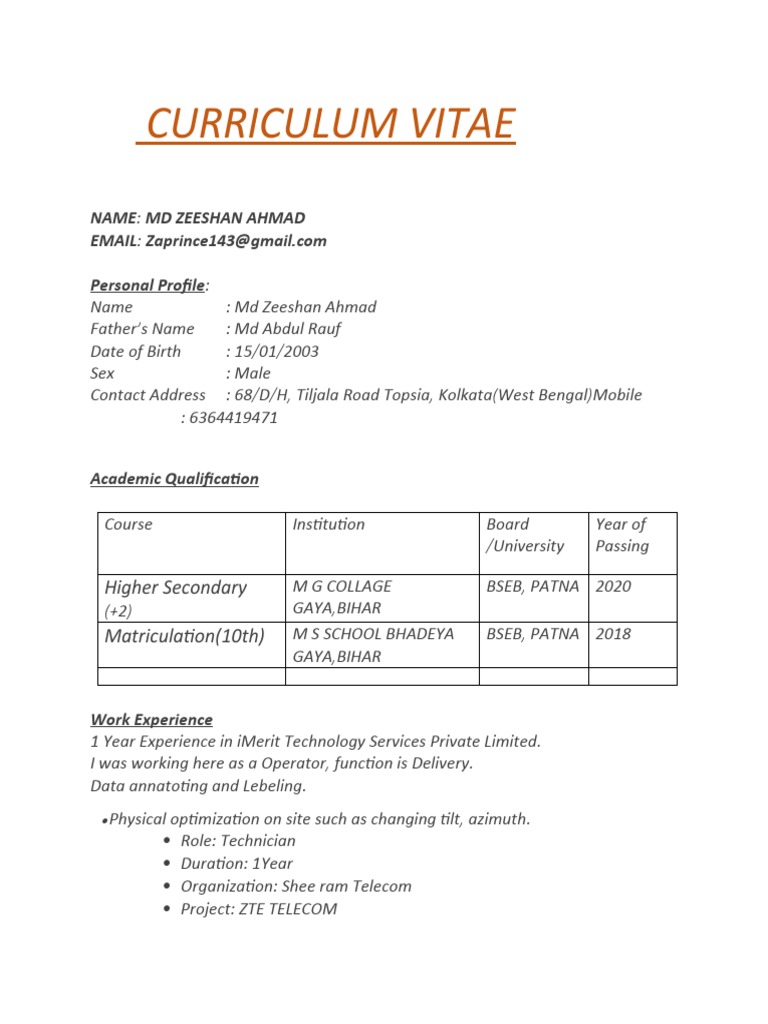 Zeeshan's CV | PDF