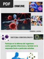 Inmunidad Específica | PDF | Linfocitos | Sistema inmune