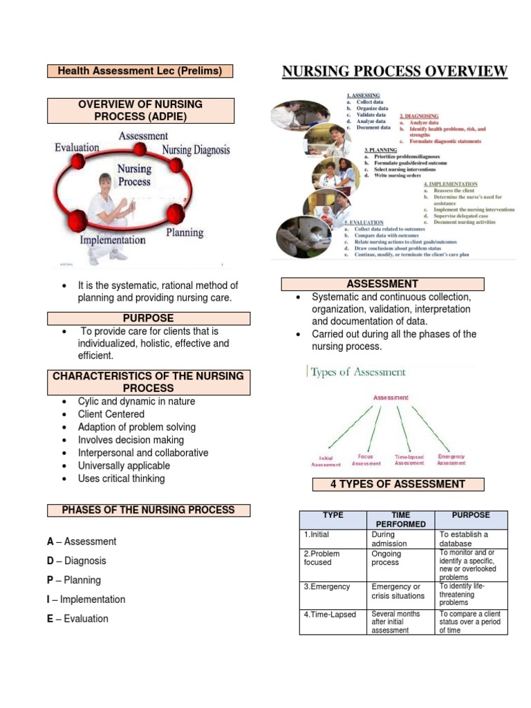 PART 1 Health Assessment Lec Prelim Transes | PDF | Nursing | Cognition