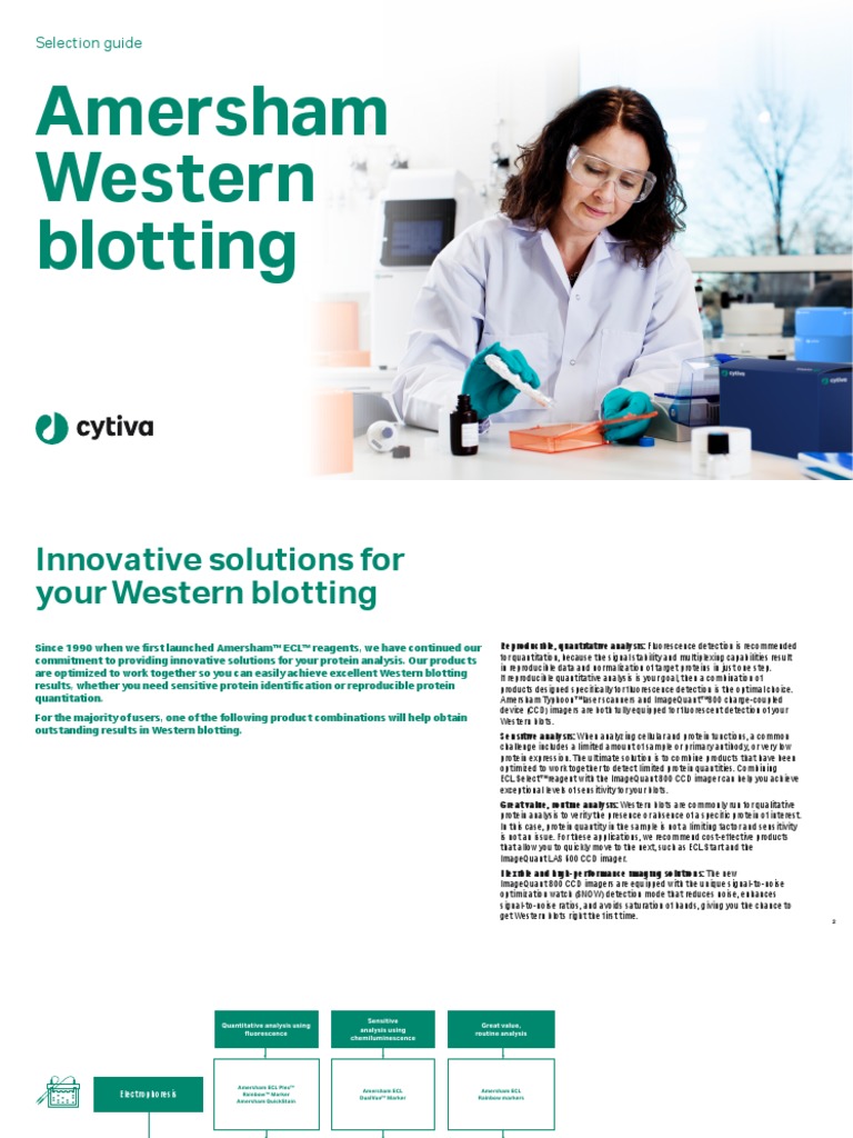 Amersham WB Guide | PDF | Western Blot | Gel Electrophoresis