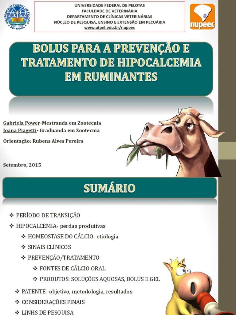 12 Bolus de Cálcio para Prevenção e Tratamento de | PDF | Cálcio | Química