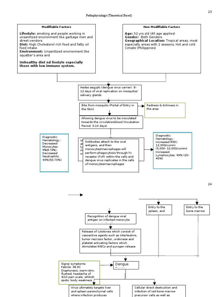 Modifiable Factors Non Modifiable Factors: Pathophysiology (Theoretical ...