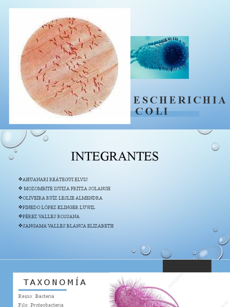 Escherichia Coli | PDF | Escherichia coli | Diarrea