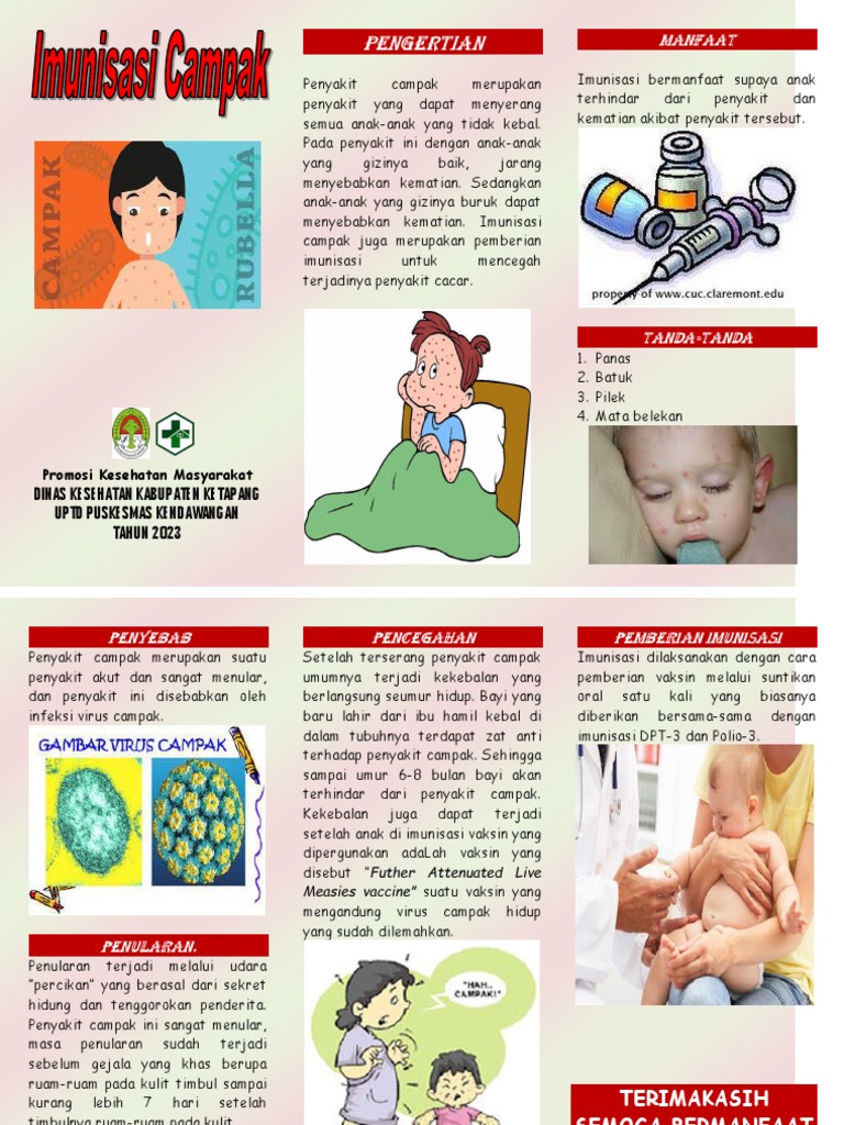LEAFLET IMUNISASI CAMPAK Docx | PDF