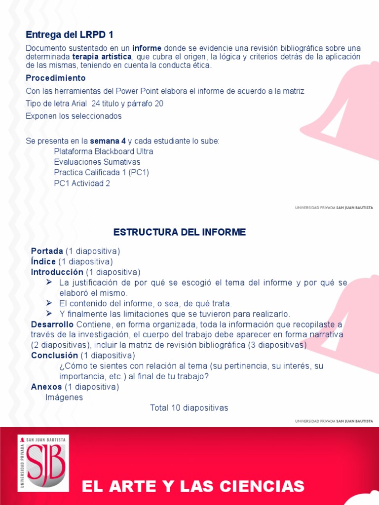 Entrega Del LRPD 1 INFORME | PDF