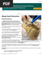 Sheep Heart Dissection Guide | PDF | Heart | Heart Valve