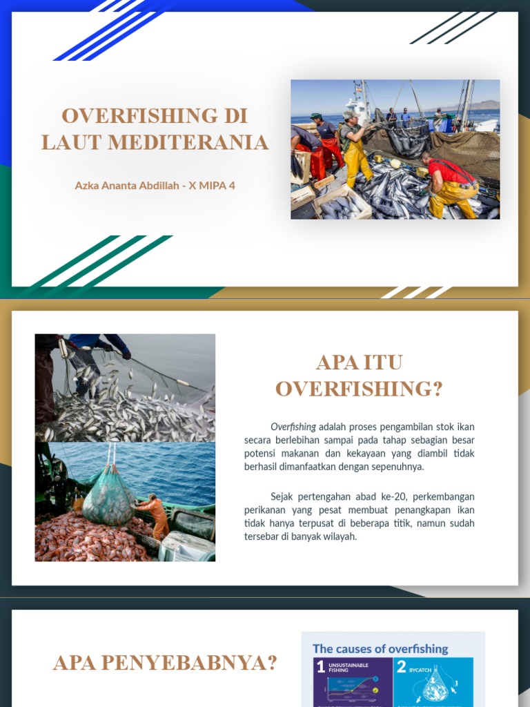 Overfishing in Mediterranean Sea | PDF