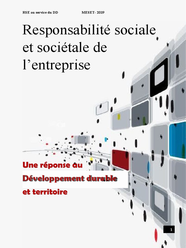 Responsabilité Sociale Et Sociétale de L'entreprise | Descargar gratis ...