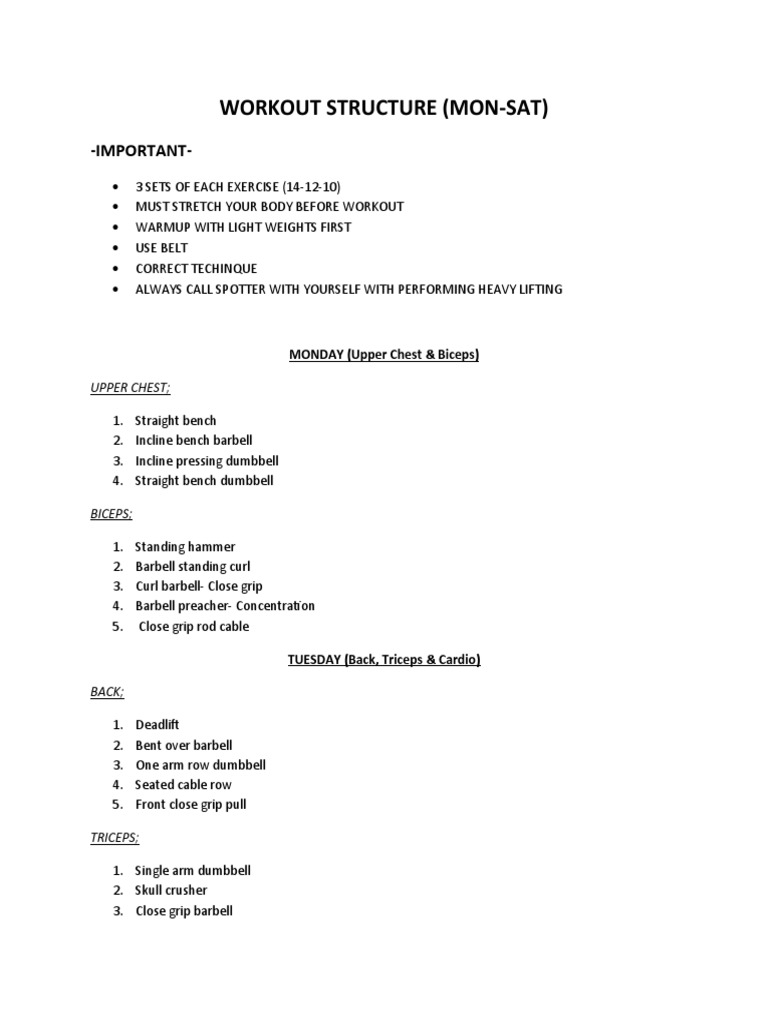 WORKOUT STRUCTURE by Syed Fitness | PDF | Physical Exercise | Weight ...