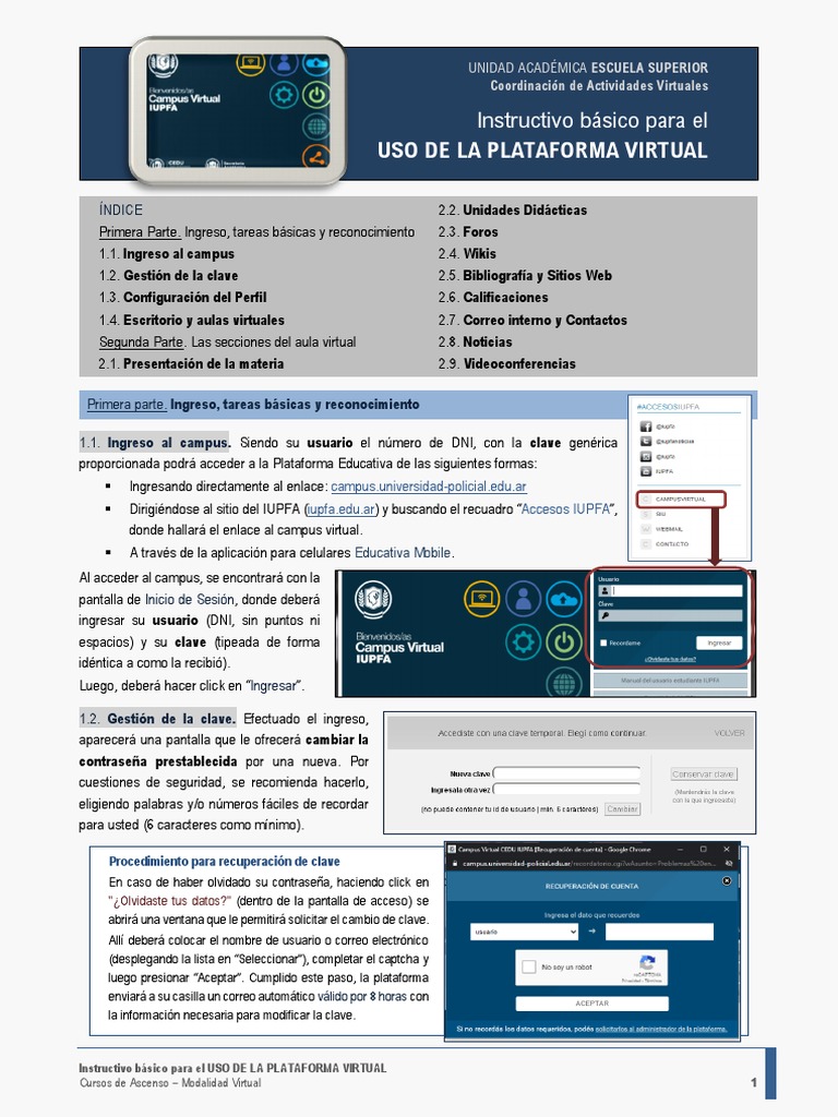 Instructivo Basico USO DE LA PLATAFORMA 2023 | PDF | Wiki | Contraseña