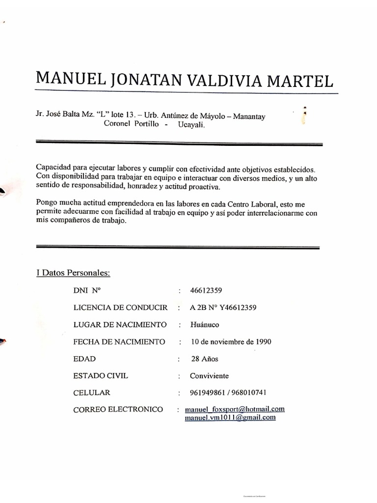 CV Manuel | PDF