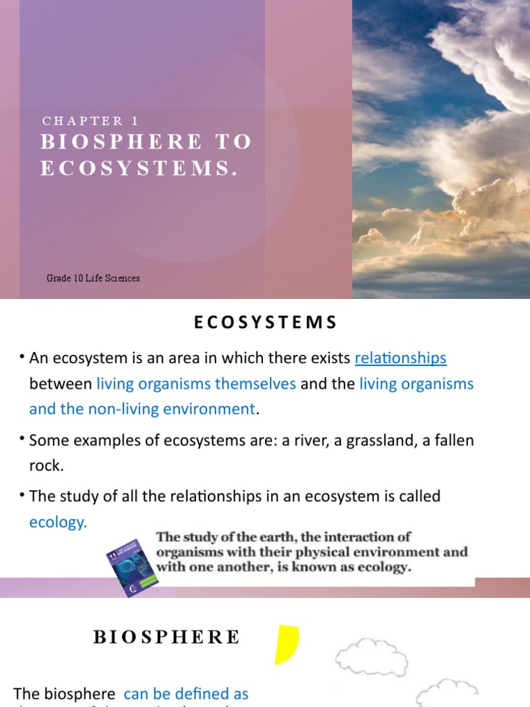 Biosphere To Ecosystems | PDF | Ecosystem | Soil