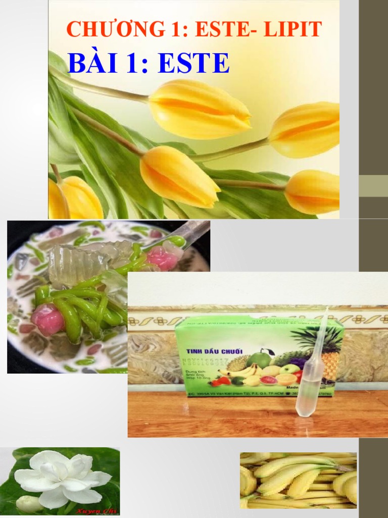 Bài 1: Este: Chương 1: Este-Lipit | PDF